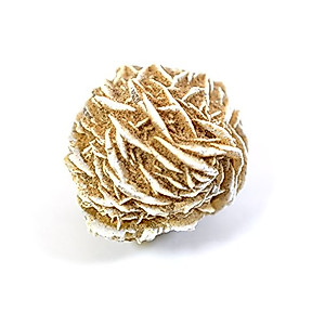 2" Desert Rose Specimen (Selenite), Single Piece