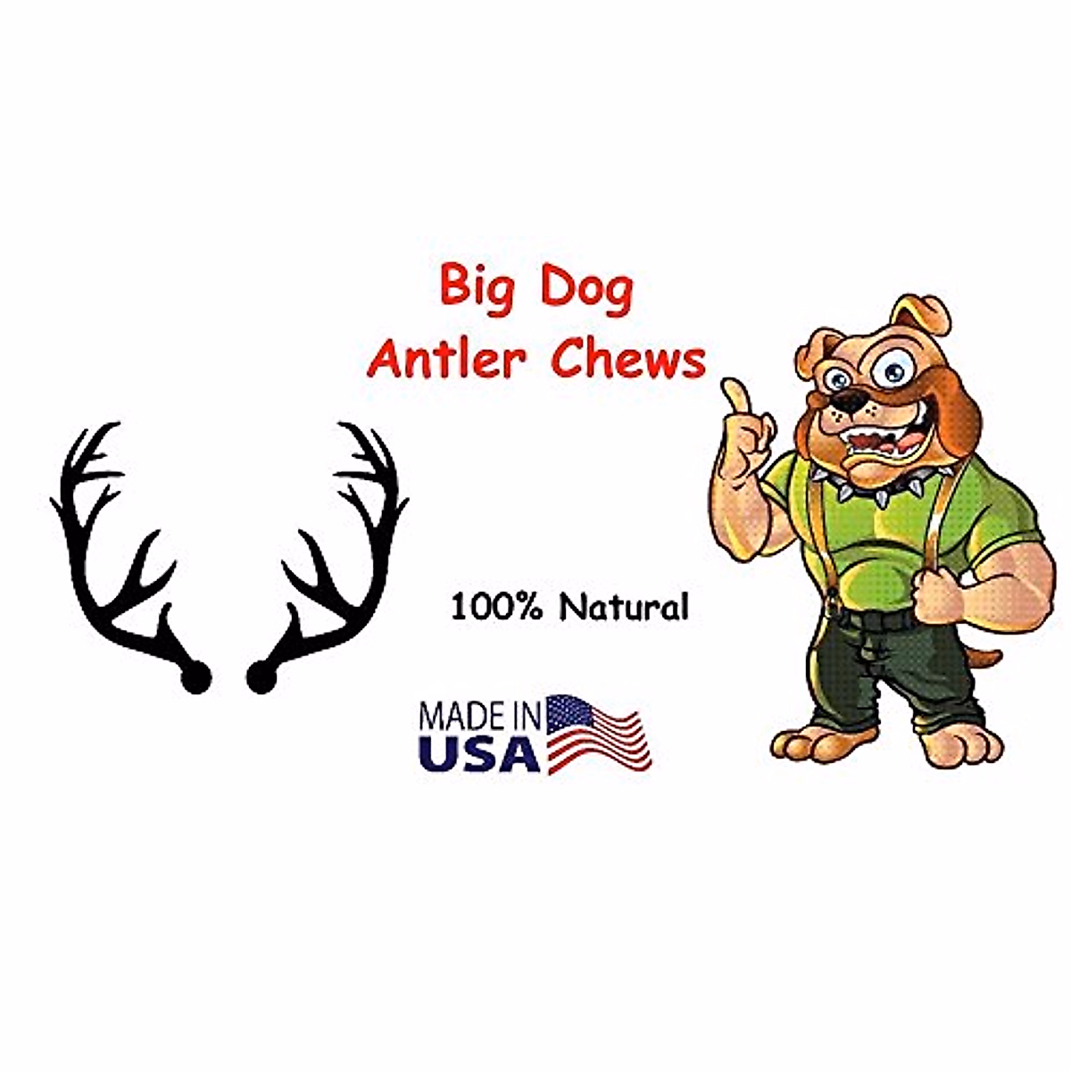 Big Dog Antler Chews Elk Antler Dog Chew, Extra Large Tine, 8 inches to 12 inches, XL - Great for Your Large to Extra Large Dogs and Puppies Brand