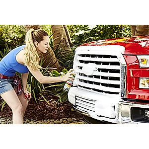 Turtle Wax Bug and Tar Remover, 16 oz., Clear (50595)