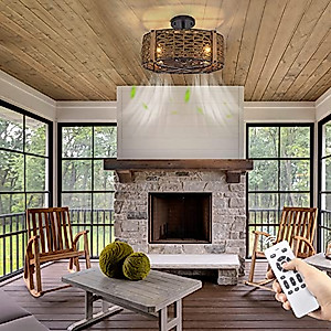 Farmhouse Caged Ceiling Fan with Lights Remote Control, Low Profile Bedroom Ceiling Fans, Industrial 17 Inch Ceiling Fans for Kitchen, Bedroom, Dining Room