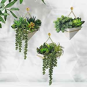 Winlyn 15 Pcs Artificial Succulents Unpotted Bulk Small Faux Succulent Plants Hanging Succulents Hops Aloe for Succulent Garden Wreath Floral Arrangement Indoor Outdoor Green Decor