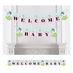 Whole Llama Fun - Llama Fiesta Baby Shower Bunting Banner - Party Decorations - Welcome Baby