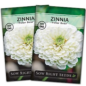 Sow Right Seeds - Zinnia Polar Bear Flower Seeds for Planting - Beautiful Flowers to Plant in Your Home Garden - Non-GMO Heirloom Seeds - White Blooms Attract Pollinators - Great Gardening Gift (2)