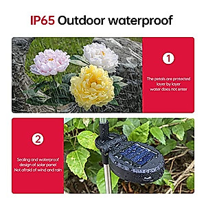 Cmskokm Outdoor Solar Garden Light Yard Decor Garden Decor Solar Flower Lamp Garden Decor Bigger Peony Flower Head Bigger Solar Panel Waterproof Solar Decorative Light for Garden Patio (3 per Box)