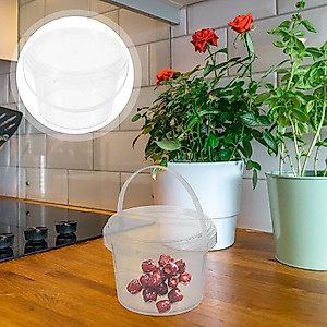 LUOZZY 10 Pcs Small Clear Plastic Buckets with Lids and Handles Ice Cream Buckets Airtight Food Storage Bucket with Lids for Kitchen (0.5 Liter)