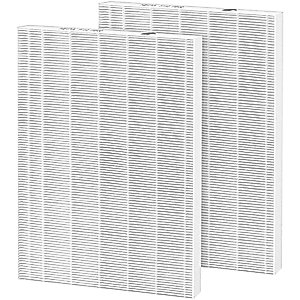 115115 Size 21 Replacement Filter A True HEPA for Winix C535, Winix PlasmaWave 5300-2, 5300, 6300-2, 6300, P300 Plasma wave Air Purifier, Compare to Part # 115115, 2 Pack HEPA Filter Only