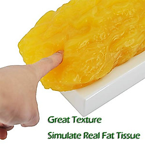 Human Body Fat Replica, 5lb Fat Model, 5 Pounds of Fat Anatomical Fat Model for Keep Fit, Weight Loss Motivation Reminder, Nutritionist, Anatomical Science Course, Medical Student