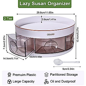 2 Tier Lazy Susan Organizer with 6 Divided Bins, 360 Degree Rotating Lazy Susan Turntable for Cabinet, Plastic Kitchen Spice Organizer Condiment Organizer, Perfume Organizer for Pantry Bathroom