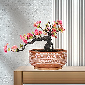 Thirtypot 8 Inch Terracotta Succulent Planter Pot with Drainage Hole and Bamboo Tray, Round Shallow Bonsai Pot for Indoor Plants