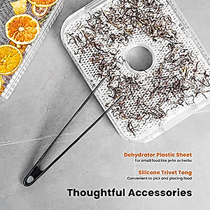 VIVOHOME Food Dehydrator Machine, 8 Trays Meat Hydrator with 48H Digital Timer and Temperature Adjustable 95-176℉ for Fruit Vegetable Beef Jerky Maker, BPA Free, Silicone Trivet Tong Included, Red