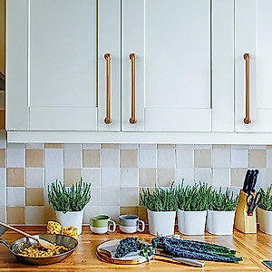 Asidrama 10 Pack 5 Inch(128mm) Champagne Bronze Kitchen Cabinet Handles, Cabinet Pulls Kitchen Cabinet Hardware for Cupboard Drawer Pulls