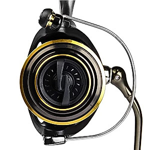 Daiwa BG2000 BG Saltwater Spinning Reel