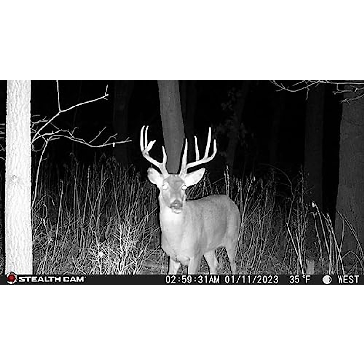 STEALTH CAM Fusion X-Pro Dual Sim 36 MP Photo & 720P HD Video 0.4 Sec Trigger Speed Wireless Hunting Trail Camera - Available on AT&T & Verizon