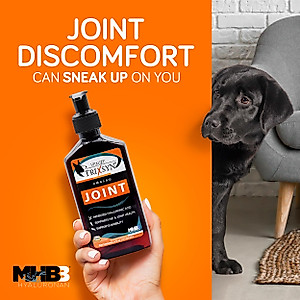 TRIXSYN Canine - All Natural Hip and Joint Care for Dogs- Enhance Joint Mobility and Cartilage Function - Live Healthier and Happier- Patented MHB3 Hylauronan Liquid Formula