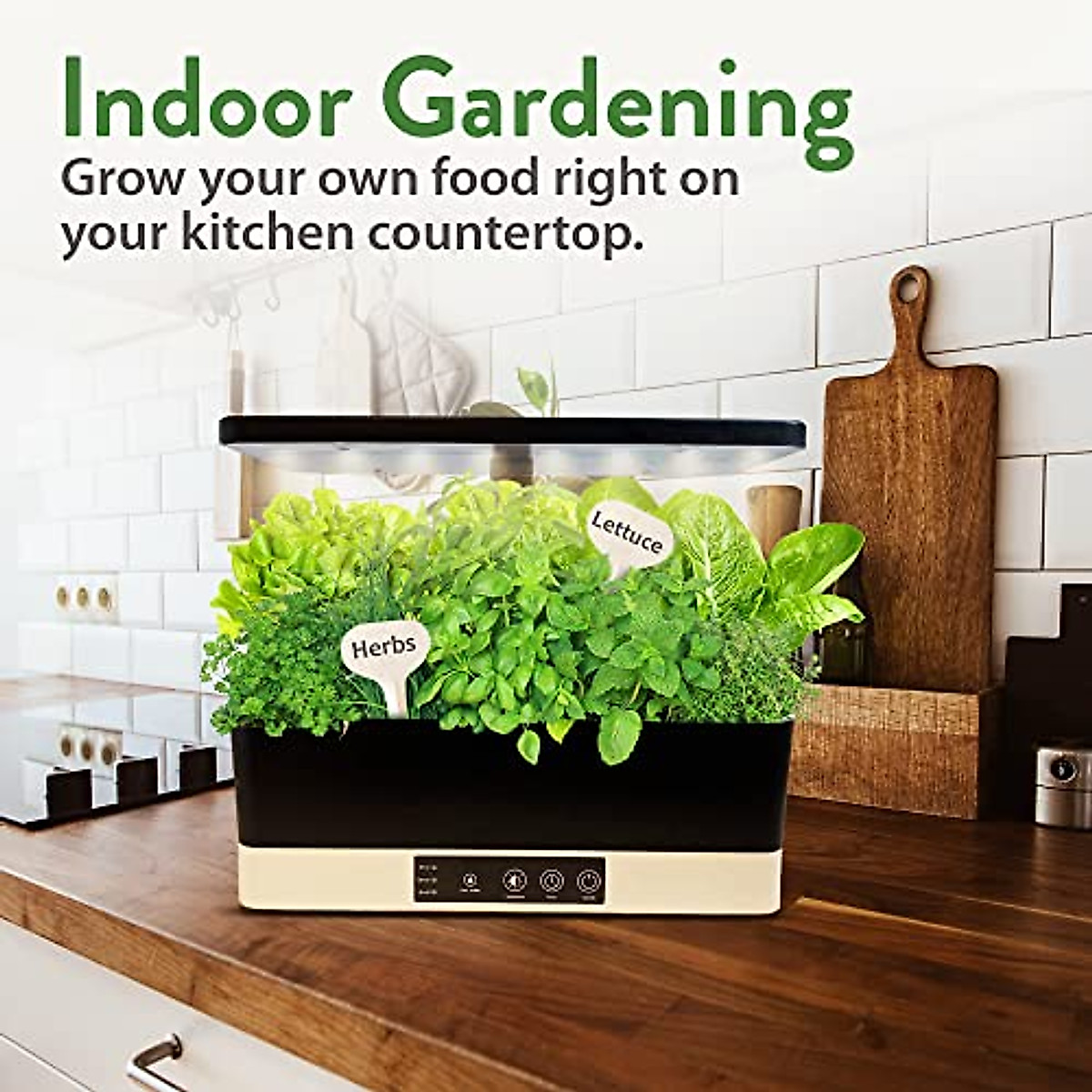 500+ Santo Cilantro Seeds for Planting Indoors or Outdoors - Non-GMO, Heirloom Herbs, Coriander Plant Seeds - Cilantro Herb Seeds for Your Indoor Herb Garden