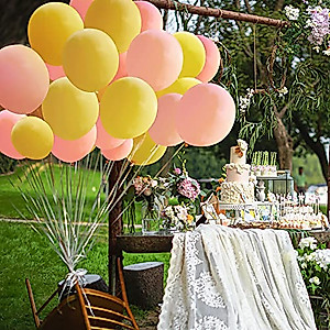 Pastel Balloon Garland Arch Kit Diy Balloon Bouquet Garland Kit Ideal for Baby Shower Wedding Birthday Party Decorations (Yellow and Pink)