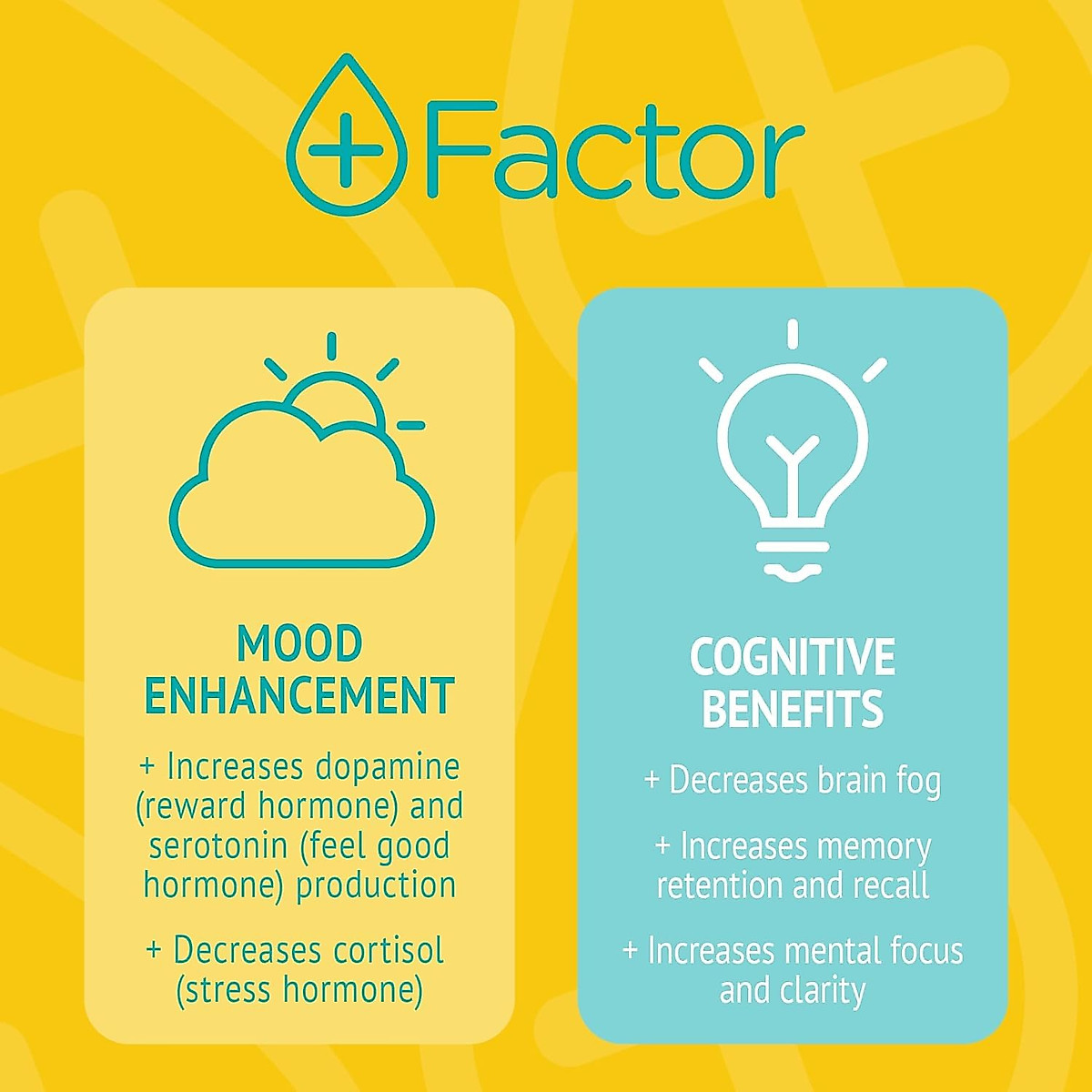 Plus Factor Cellular Boost Complex - 3% USP Grade Methylene Blue & Silver Nano Particles - Improved Focus & Memory - Mitochondria Booster - 30ml