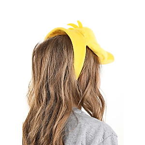Fun Costumes Sesame Street Big Bird Headband - ST