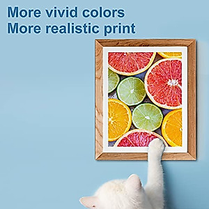 Remanufactured 410XL Ink Cartridge 5 Pack Replacement for Epson 410XL 410 T410XL for Epson Expression XP-7100 XP-640 XP-830 XP-530 XP-630 XP-635 Printer(Black, Photo Black, Cyan, Magenta, Yellow)