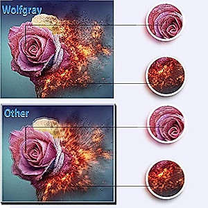 Wolfgray Remanufactured 564 Printhead Compatible for HP564 Printheads 564 Printhead for HP Photosmart 7510 7515 7520 7525 D7560 D5460 C6340 C309g C310a Printer