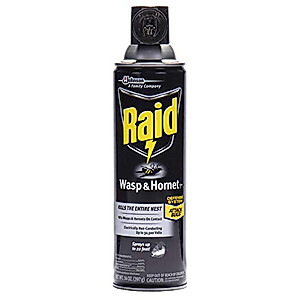 Raid Wasp and Hornet Killer Spray, Kills the entire nest, Kills Paper Wasps, Yellow Jackets, Mud Daubers and more, 14 oz
