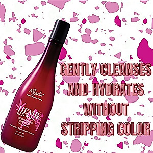 AGADIR Hemp & Red Wine Moisturizing Shampoo, 14.5 Fl Oz
