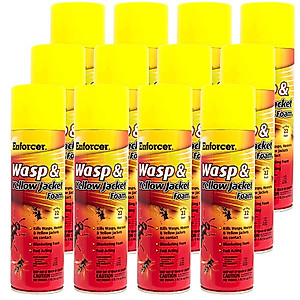 Enforcer Wasp & Yellow Jacket Foam V - 16 oz (Case of 12) - FWH16 - Kills Wasps, Hornets and Yellow Jackets