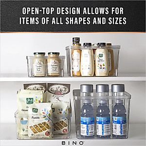BINO | Plastic Storage Bins, Medium - 2 Pack | THE LUCID COLLECTION | Multi-Use Organizer Bins | Built-In Handles | BPA-Free | Clear Storage Containers | Fridge Organizer | Pantry & Home Organization