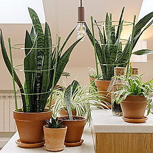 4 Pack Tomato Cage Plant Support Cages for Garden, 18 inches Trellis for Climbing Plants, Upgrade Garden Plant Stakes with Adjustable Ring, Tomato Rings for Support, with Twist Tie