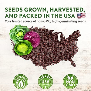 7 Cabbage Seeds for Planting - 2000+ Heirloom & Non-GMO Seeds - Golden Acre, Bok Choy, Savoy, Michihili, Red Acre, Copenhagen Market, Jersey Wakefield Cabbages - Garden Vegetable Lettuce Seeds