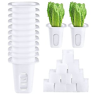 50 Sets of Hydroponic Garden Growing System Accessories Includes 50 Planting Baskets 50 Plant Growth Sponges Compatible with Most Hydroponic Garden Planting Systems
