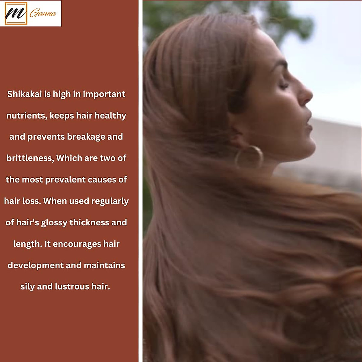 mGanna 100% Pure Shikakai/Acacia Concinna Powder for Hair Care | Natural Hair Cleanser & Conditioner 0.50 LBS / 227 GMS / 8 Oz