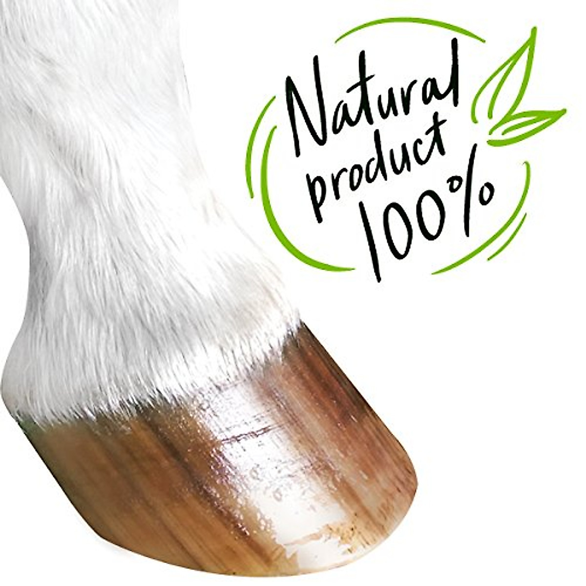 Plughz Healthy Hoof Glaze Hoof Dressing Hoof Shine