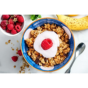 Cocowhoa Ceramic Dessert Style Bowls, 10oz Capacity, Modern Snack Bowls, Japanese Inspired Dishware Bowls, Ceramic Bowl Gift Set, Perfect for Rice, Cereal, Pasta, Ice Cream, Small Bowl Set (2)