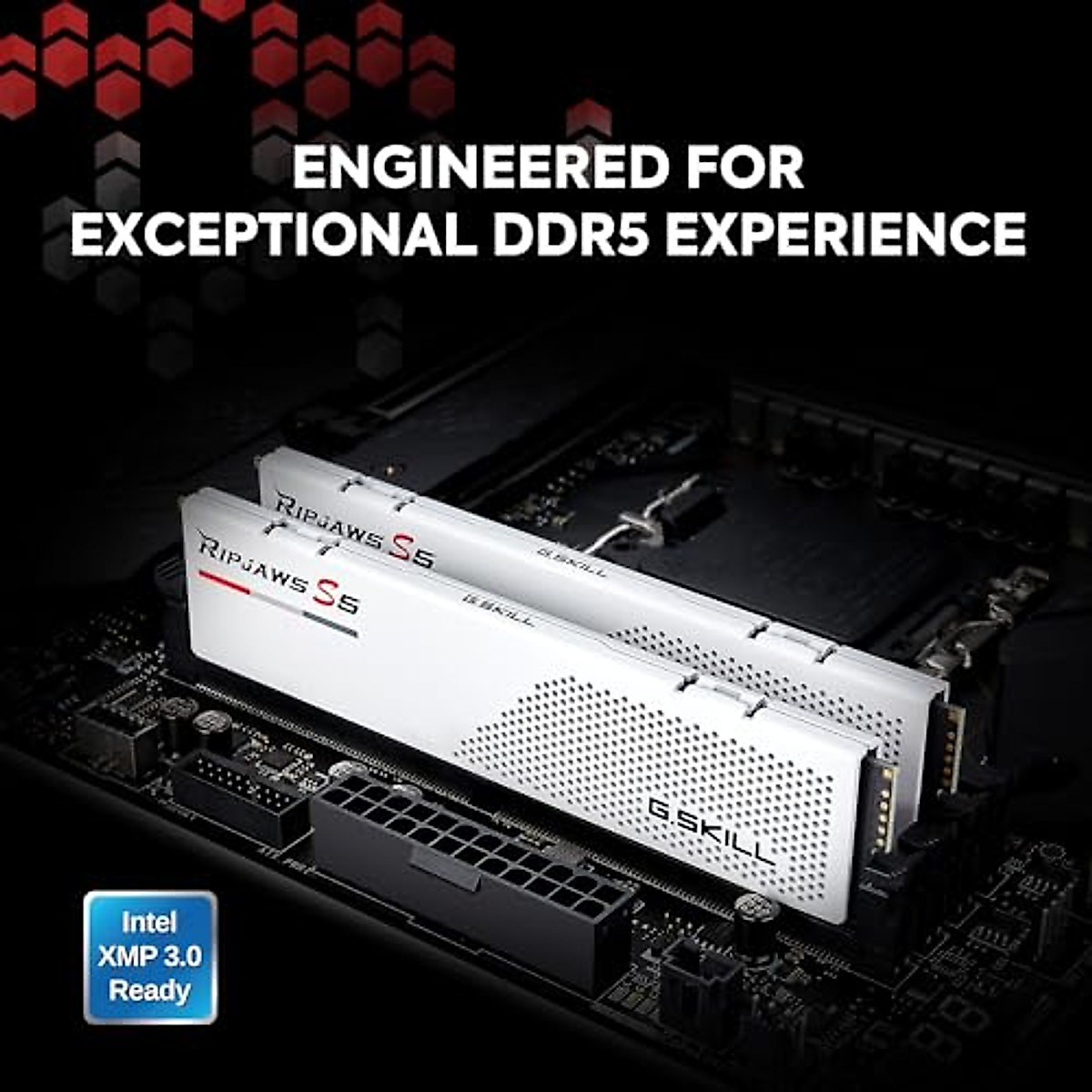 G.SKILL Ripjaws S5 Series (Intel XMP 3.0) DDR5 RAM 64GB (2x32GB) 5200MT/s CL36-36-36-83 1.25V Desktop Computer Memory UDIMM - Matte White (F5-5200J3636D32GA2-RS5W)