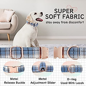 Dog Collar for Small Medium Large Dogs & Cats, Summer Popular Dog Collar with Personalized Print for Girl & Boy Dogs Adjustable Puppy Bow Tie Collar Attachment with Golden Metal Buckle