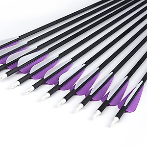 Huntingdoor Archery Carbon Arrows 31'' Targeting Arrows 350 Spine with Removable Tips for Recurve Bow Compound Bow Longbow Hunting Shooting Practice