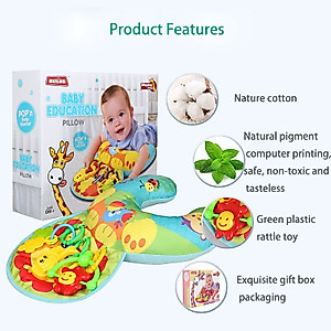 Chanys Tummy Time Toys & Pillow Set Adorable Essentials for Babies 0-6 Months - Perfect Baby Play Mat for Boys and Girls