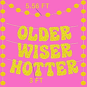 Older Wiser Hotter Glitter Banner - Gold | Fun Birthday Party Decorations, 30th Birthday Decor, HBD, Gag Gift, Photobooth Backdrop (gold)