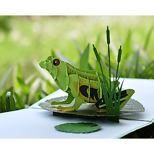 CUTPOPUP Birthday Card Pop Up, 3D Greeting Card (Frog)