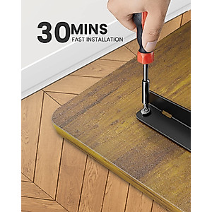 Ergear Electric Standing Desk Adjustable Height, 55 x 24 Inches Sit Stand Up Desk with 3 Memory Presets, Home Office Desk, for Home Office