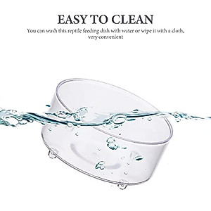 Reptile Food Bowls 30Pcs Reptile Water Bowls Reptile Feeder Food Dish Transparent Food Bowl Terrarium Bowls Worm Dish for Tortoise Lizard Bearded Dragon Frog Leopard Gecko Snake