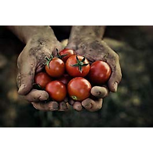 Compost Tea Aerator - The BubbleSnake : 5 Gallon Bucket Aerator