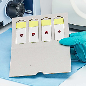 Globe Scientific 513004 Cardboard Slide Mailer for 4 Slide (Case of 50)