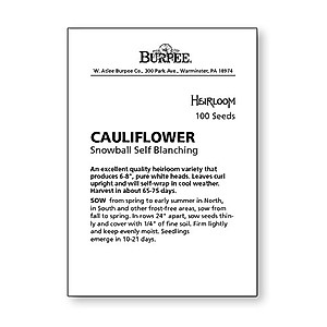Burpee Snowball Self-Blanching Cauliflower Seeds 100 seeds