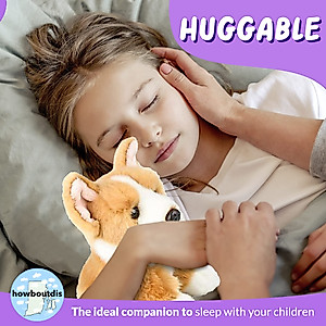 HOWBOUTDIS Fluffy, Adorable 6 inch Plush Corgi Puppy - Super Cuddly and Huggable - Great Gift Idea for Anyone - Even Your Pup - Perfect for Animal Lovers of All Ages, Ages 3+