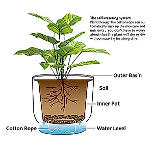 T4U 6 Inch Self Watering Pots for Indoor Plants, 6 Pack White Plastic Flower Pots for All House Plants, Flowers, African Violets