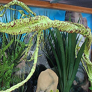 PIVBY Flexible Bend-A-Branch Jungle Vines Pet Habitat Decor Reptile Plants Terrarium for Lizard,Frogs, Snakes and More Reptiles Climbing (Fat:0.7943.31 Inch)