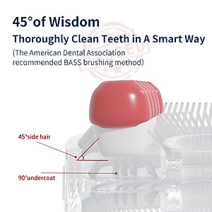 Little Meerkat 2Pcs U Shaped Toothbrush Kids, Toddler Toothbrush with 4 Brush Head, 360° Toothbrush Kids to with kid Age 7-12, L