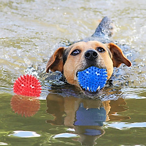 Xeehwb 12 Pack 2.5 Inch Squeaky Dog Toy Balls,Spiky Dog Balls,Puppy Chew Toys for Teething,Floating Dog Pool Balls for Small Medium and Large Dogs(6 Colors)